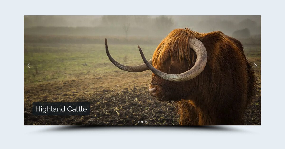 Free Slider Templates — Smart Slider 3 — WordPress Plugin