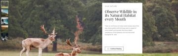 Are You Looking for a Free Slider Revolution Alternative?