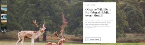 Are You Looking for a Free Slider Revolution Alternative?