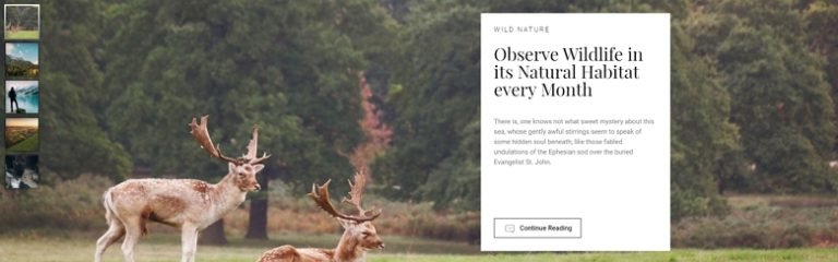 Are You Looking for a Free Slider Revolution Alternative?